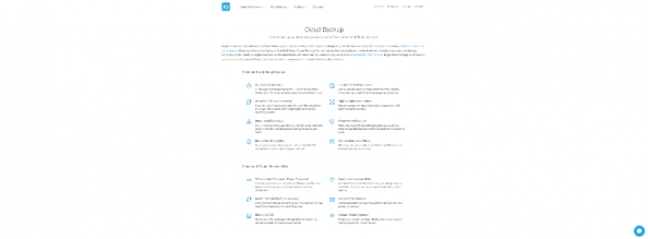 Top 20 Best Enterprise Cloud Backup Solutions For Business Data - 2025 | CloudSmallBusinessService